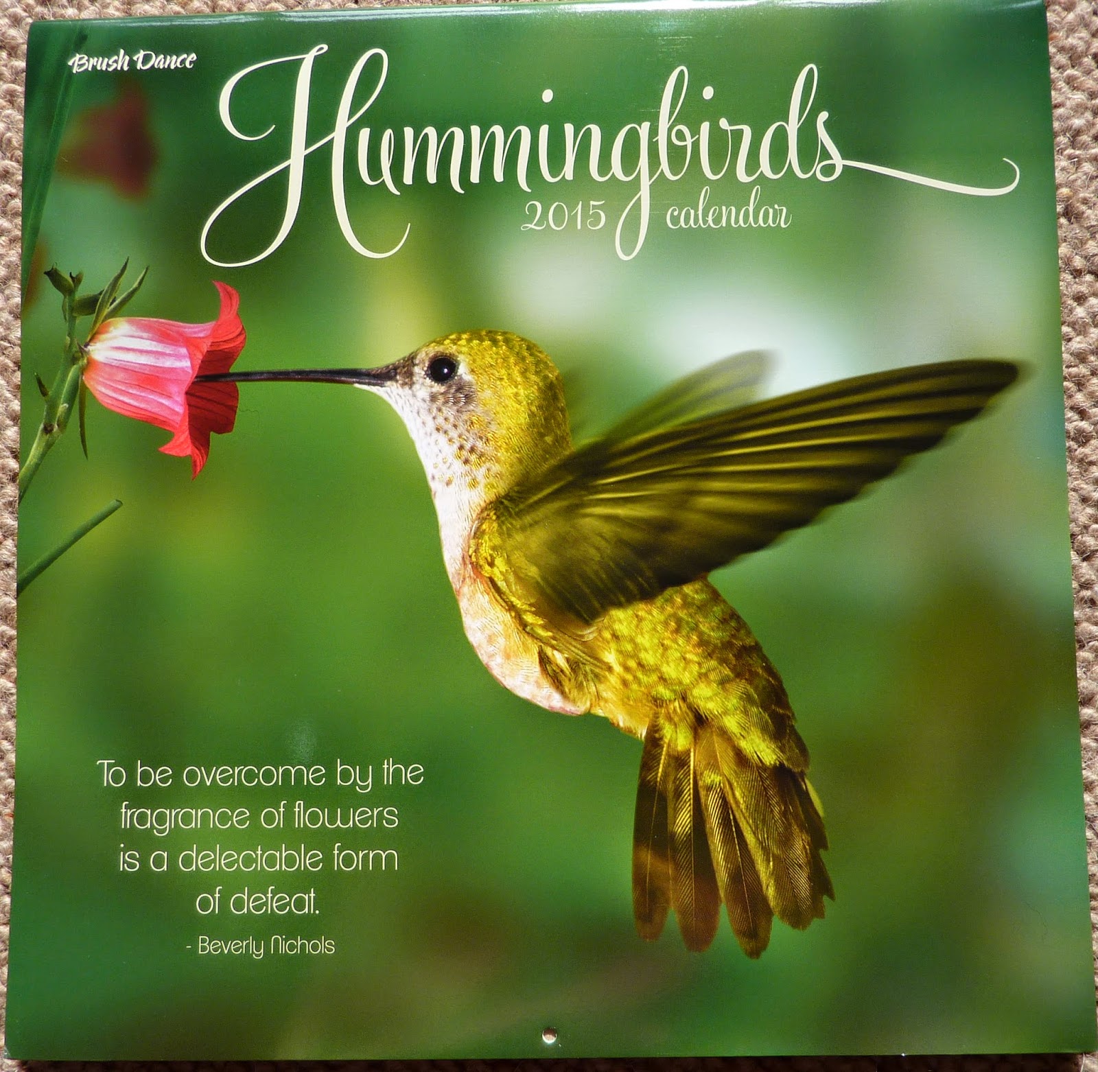 Hummingbirds Pretty And Positive Quotes. QuotesGram