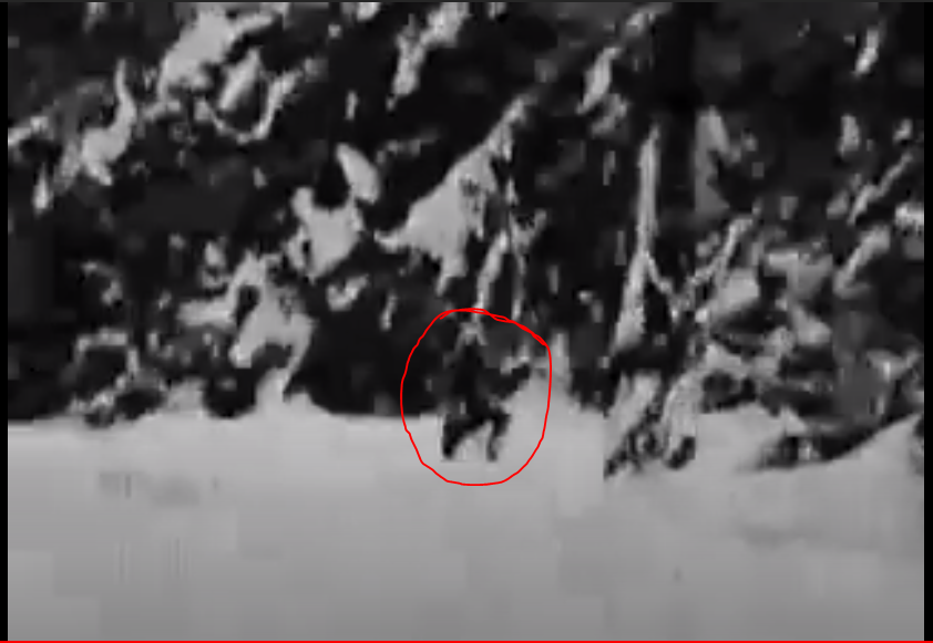 RMSO Bigfoot: Sasquatch on Film Video Appears Historically Old