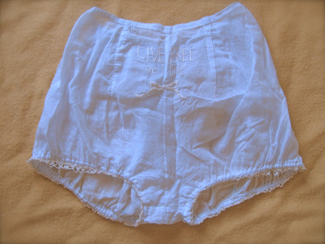 RACHEL ANNETTE BLODGETT: HISTORY OF BLOOMERS