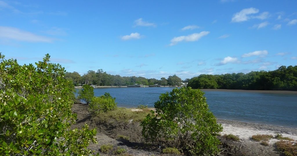 National Park Odyssey: Tinchi Tamba Wetlands Reserve, Bald Hills ...