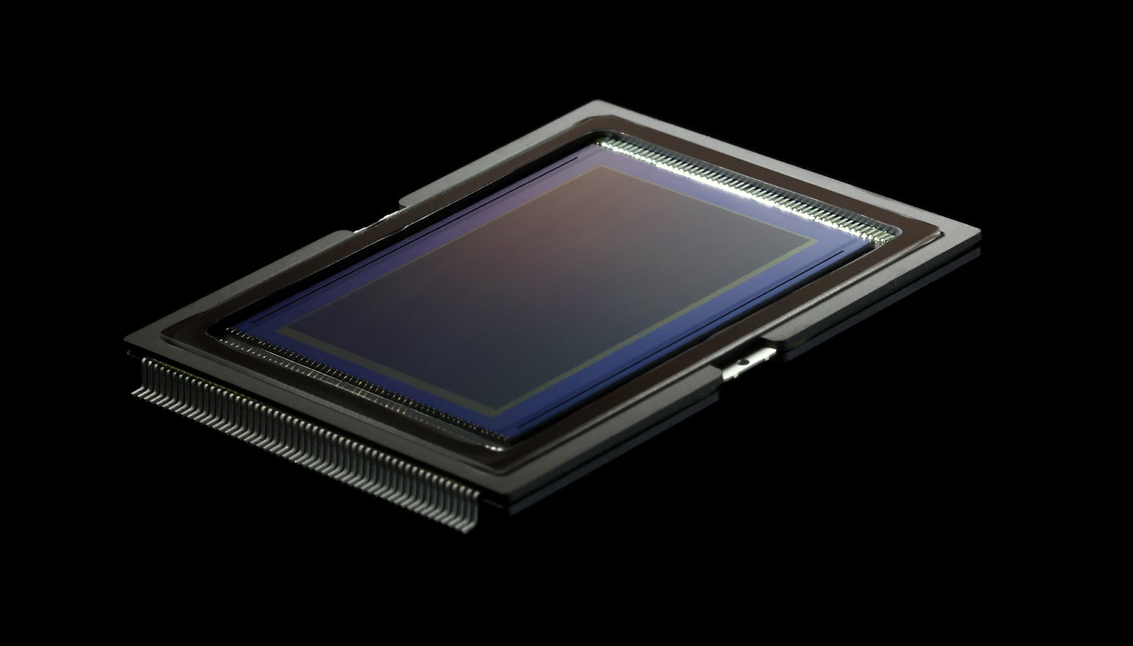 Michael Daniel Ho - The Wildlife Ho-tographer: Canon Testing Third ...