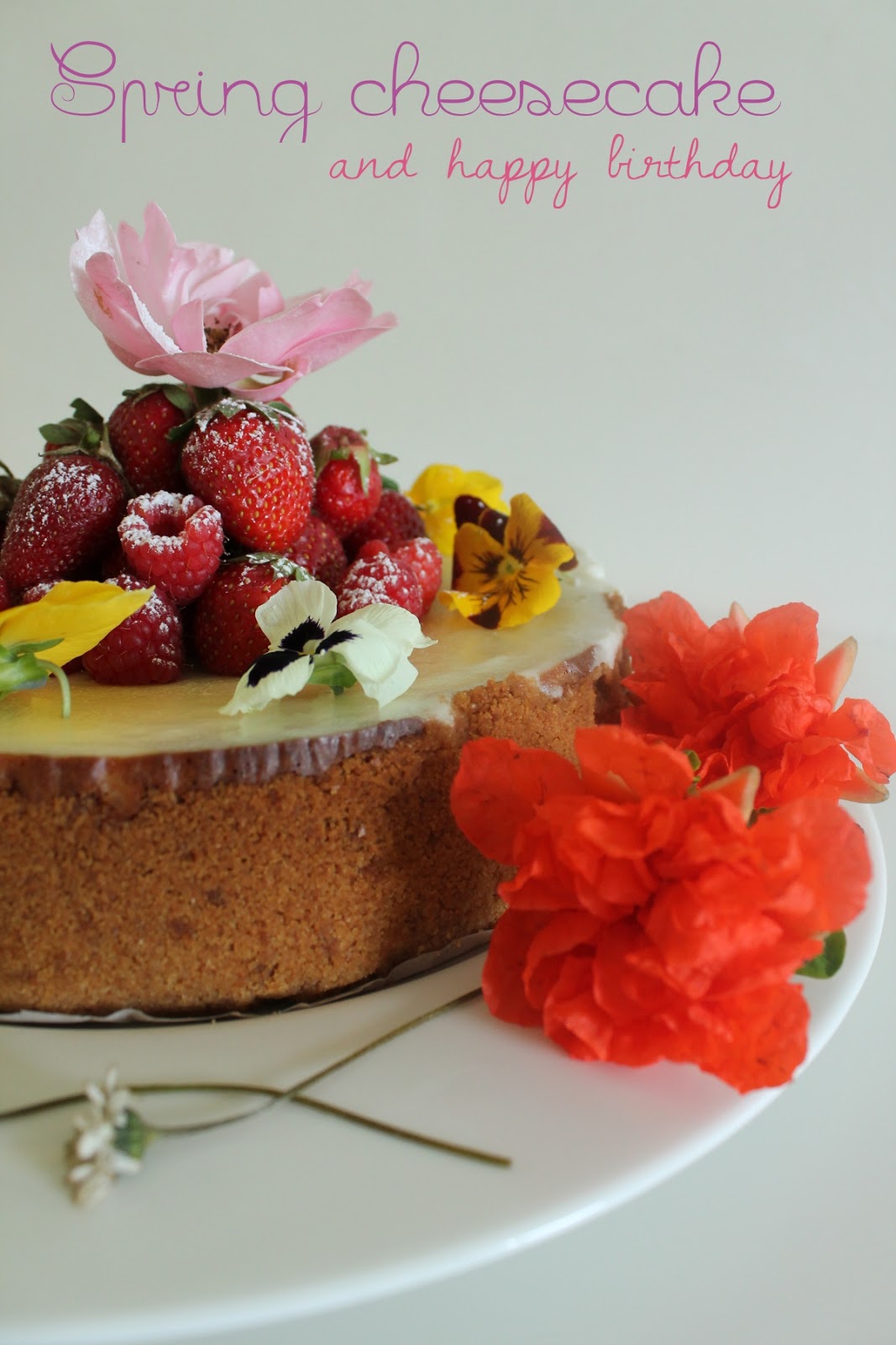 Aroundfood: SPRING CHEESECAKE
