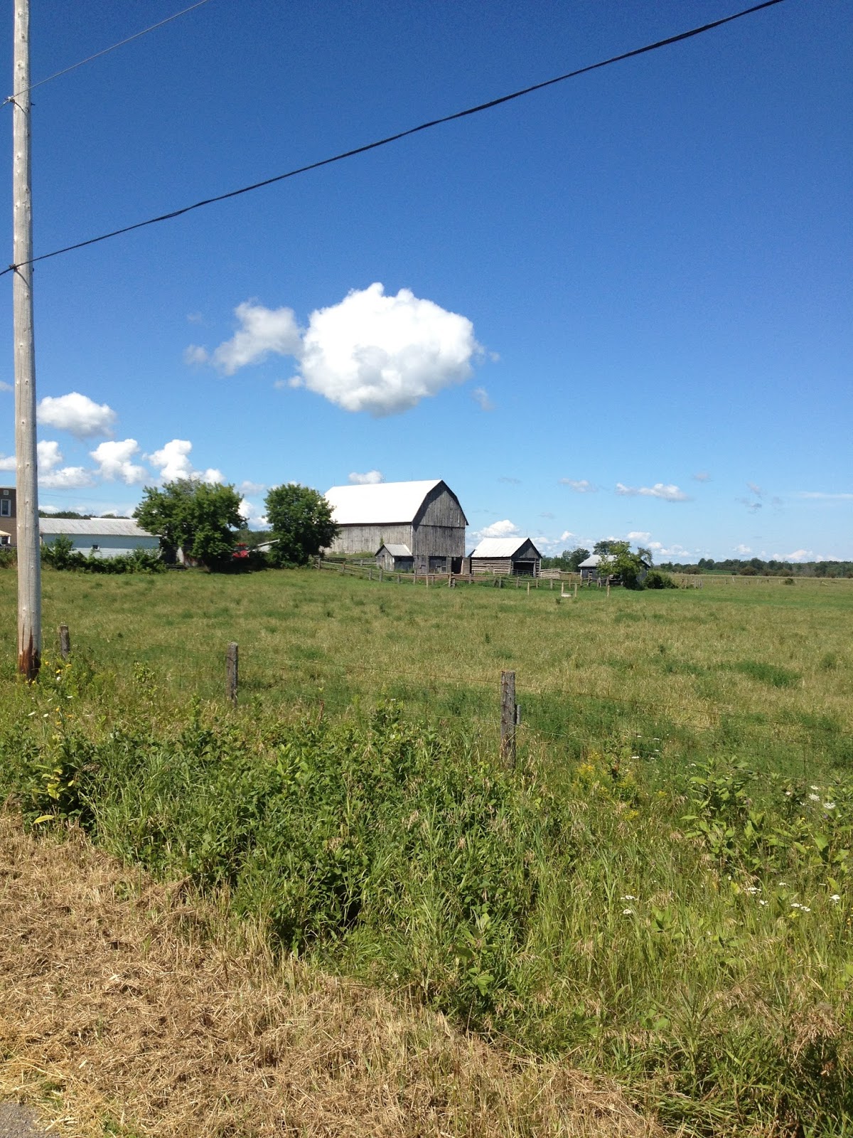 MONTREAL /VANCOUVER BY BIKE...l'aventure à vélo: Quyon (Québec ...