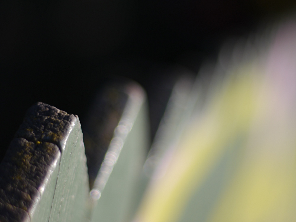 Micro 4/3rds Photography: Bokeh, part 1