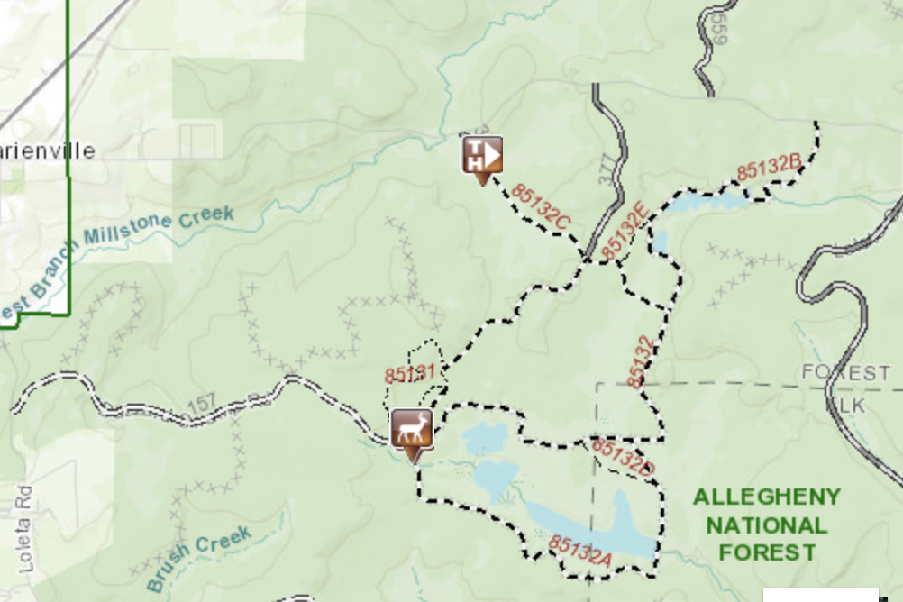 Hiking the Buzzard Swamp and Beaver Meadows Areas in Allegheny National ...