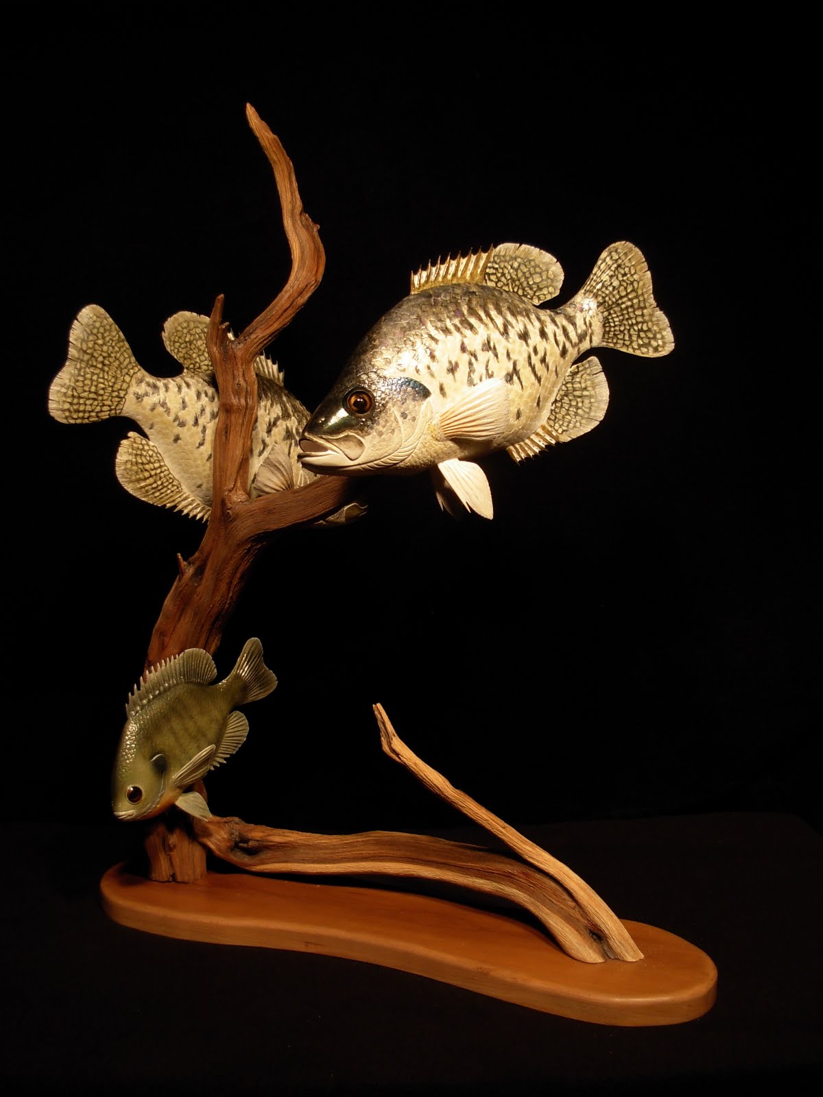 The Carving Fisherman: Black Crappie from Crappie Photos