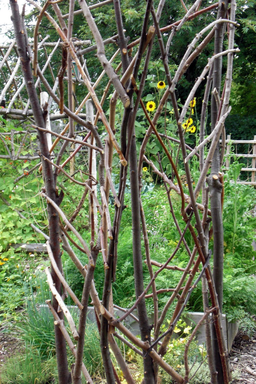 The Violet Fern: Project: Rustic Leaf Trellis