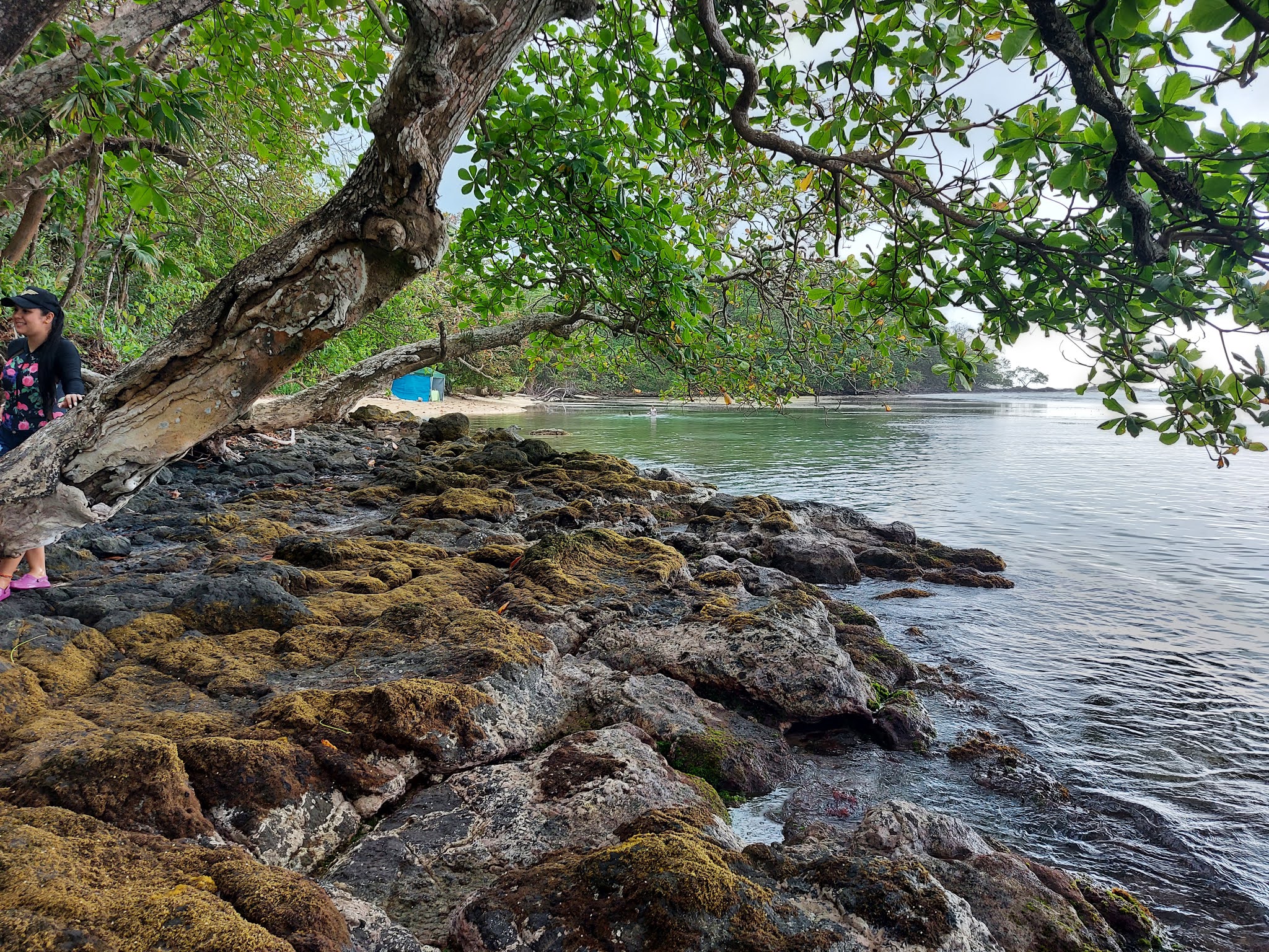Turisteando con Alex: Venas Azules, Playa Blanca y Playa Escondido (Colón)
