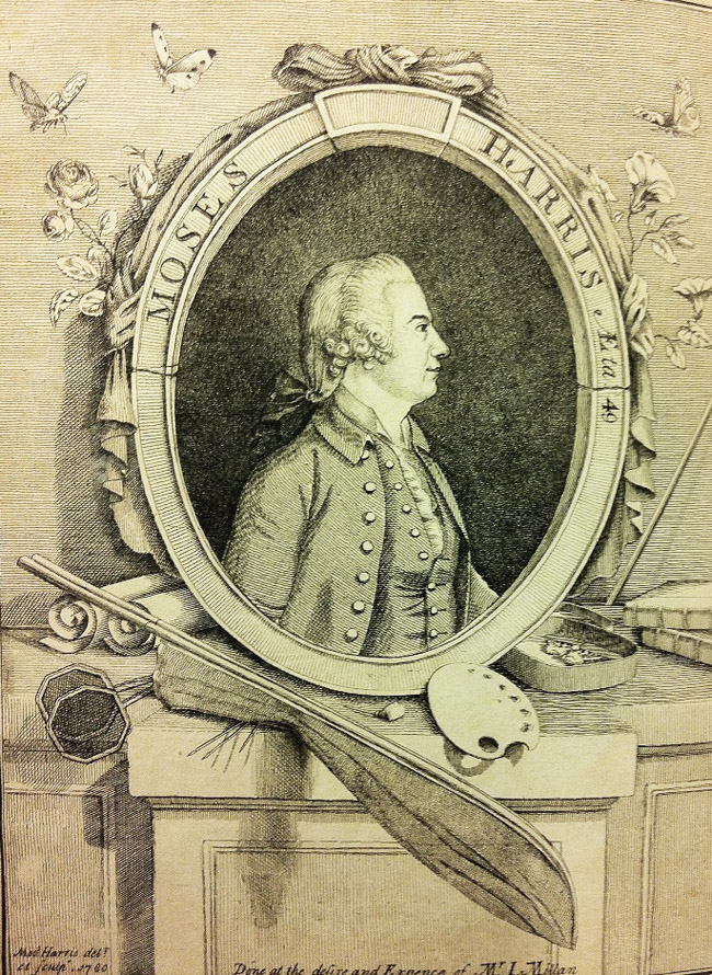 300+ Years of Color Theory: The Natural System of Colors