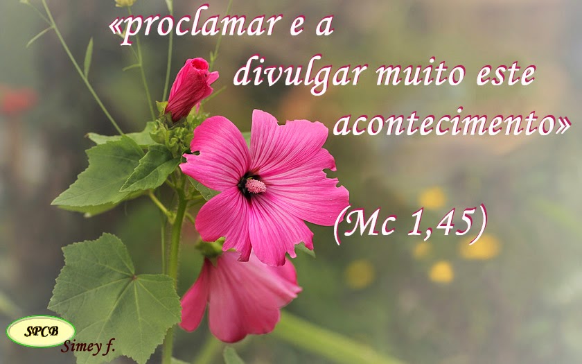 Palavra de Deus: Evangelho comentou, Se queres, tens o poder de ...