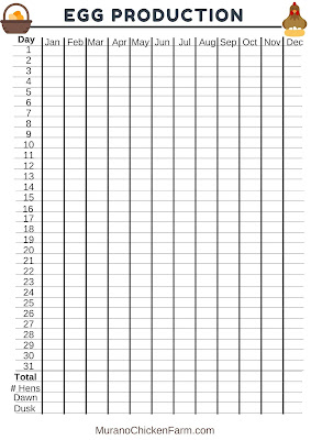 Tracking egg production in hens - Murano Chicken Farm