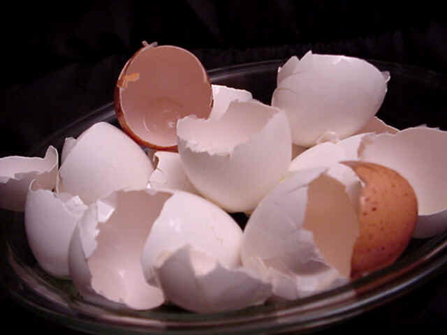 The One Income Dollar: Other Uses For- Eggshells?