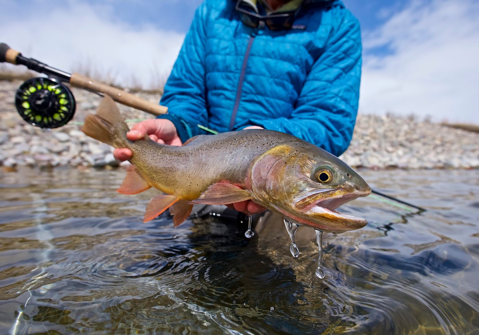Highlights from the 2019 Fishing Season- Wyoming Fly Fishing