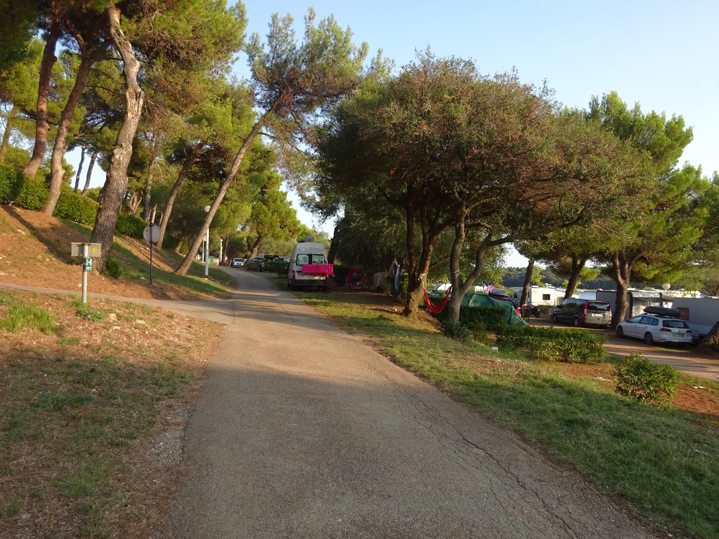 Menard & Jack Russell Terrier: Kamp Arena Indije