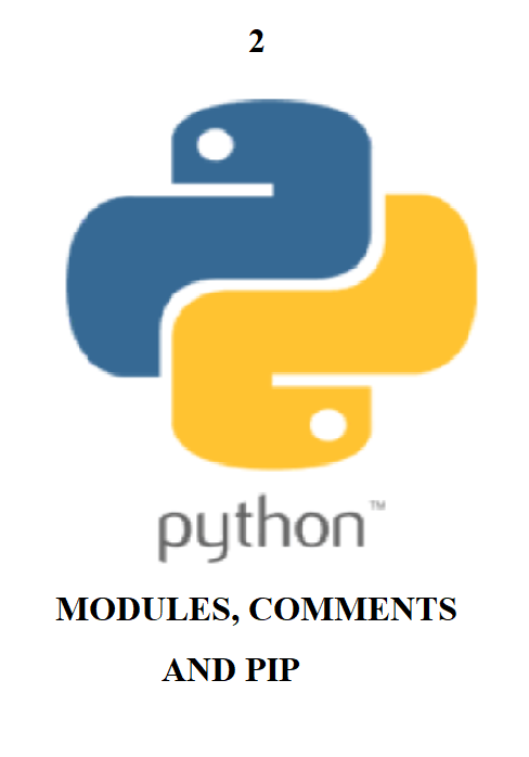 Modules, Comments and PIP
