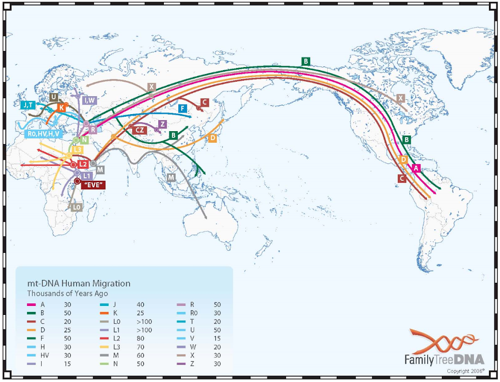 JMTDNA Haplogroup J Mitochondrial DNA Human MtDNA Origin And jmtdna-haplogroup-j-mitochondrial-dna-human-mtdna-origin-and