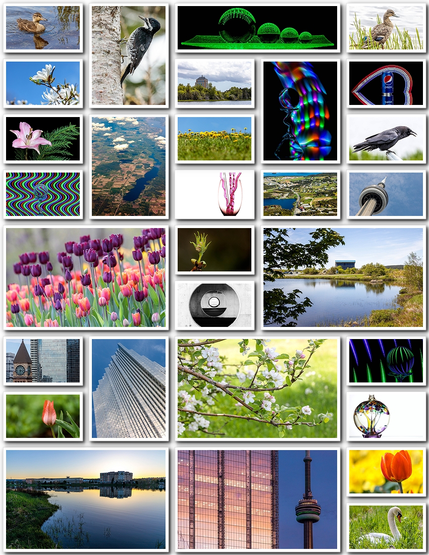 Bitstop: June Collage