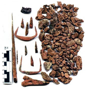 The Treasure Beaches Report Direct From Florida's Treasure Coast.: 7/1 ...