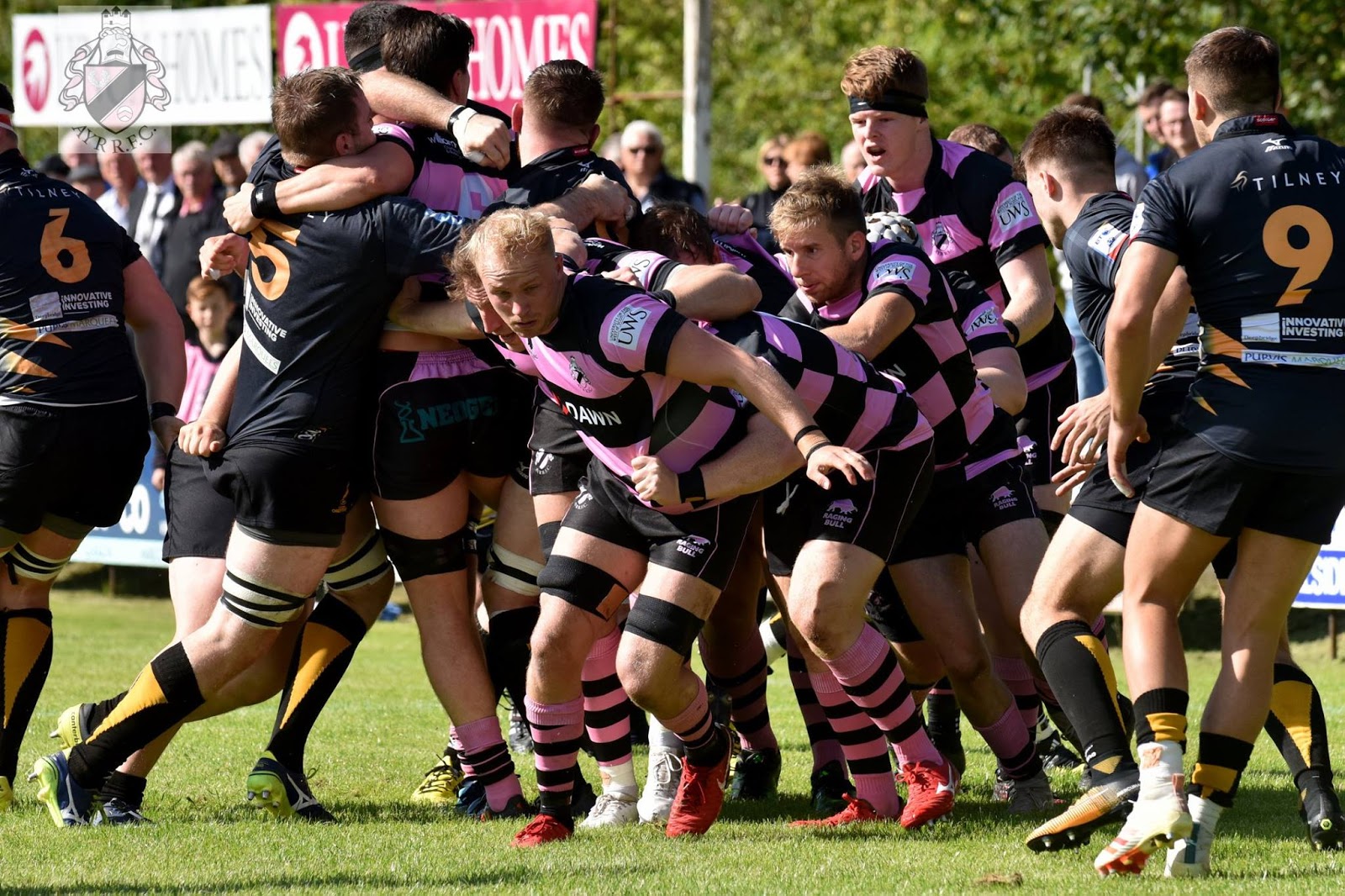 Ayr Rugby Club Latest News