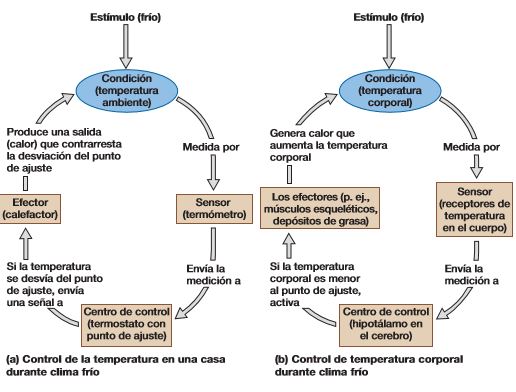 Biology 5 semester: 2019
