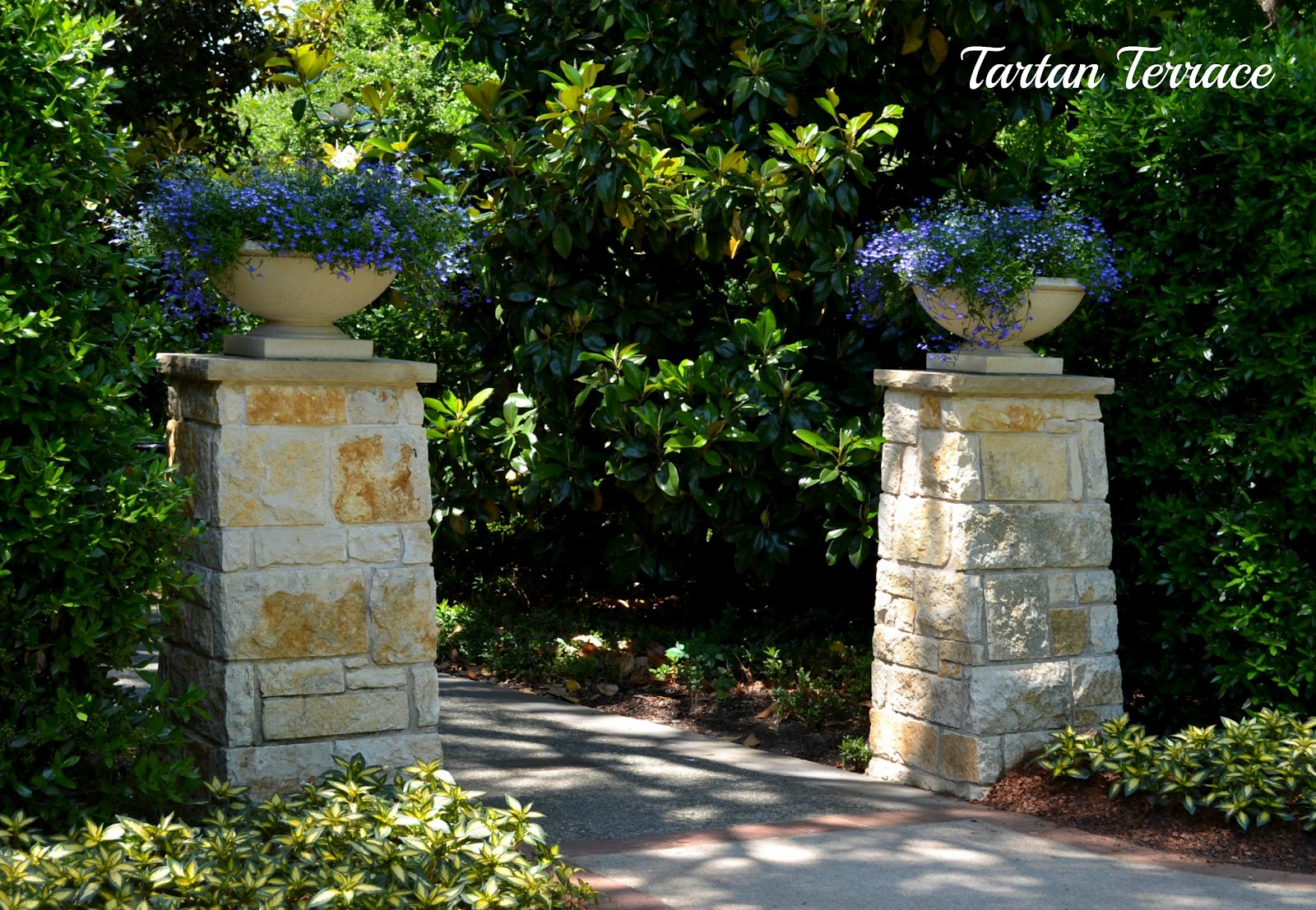 TartanTerrace: Pretty Gardens