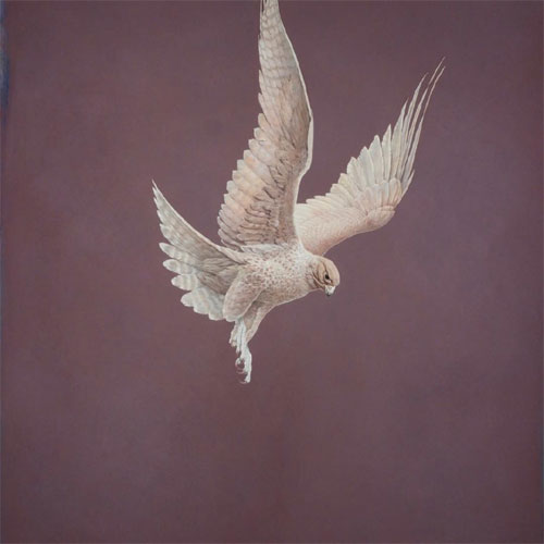 My Owl Barn: Watercolor and Gouache Wildlife Inspired Paintings by Tim ...