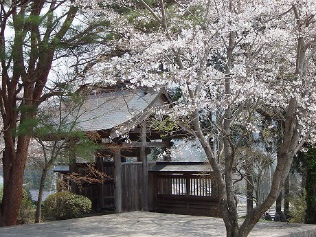 Dragon Art of Asia - 2012 - Year of the DRAGON: Senryu-Ji temples