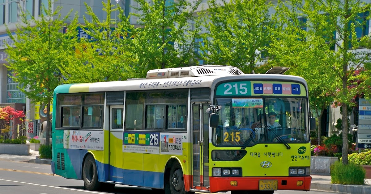 Daejeon Access: InterCity Bus Numbers & Terminal Information