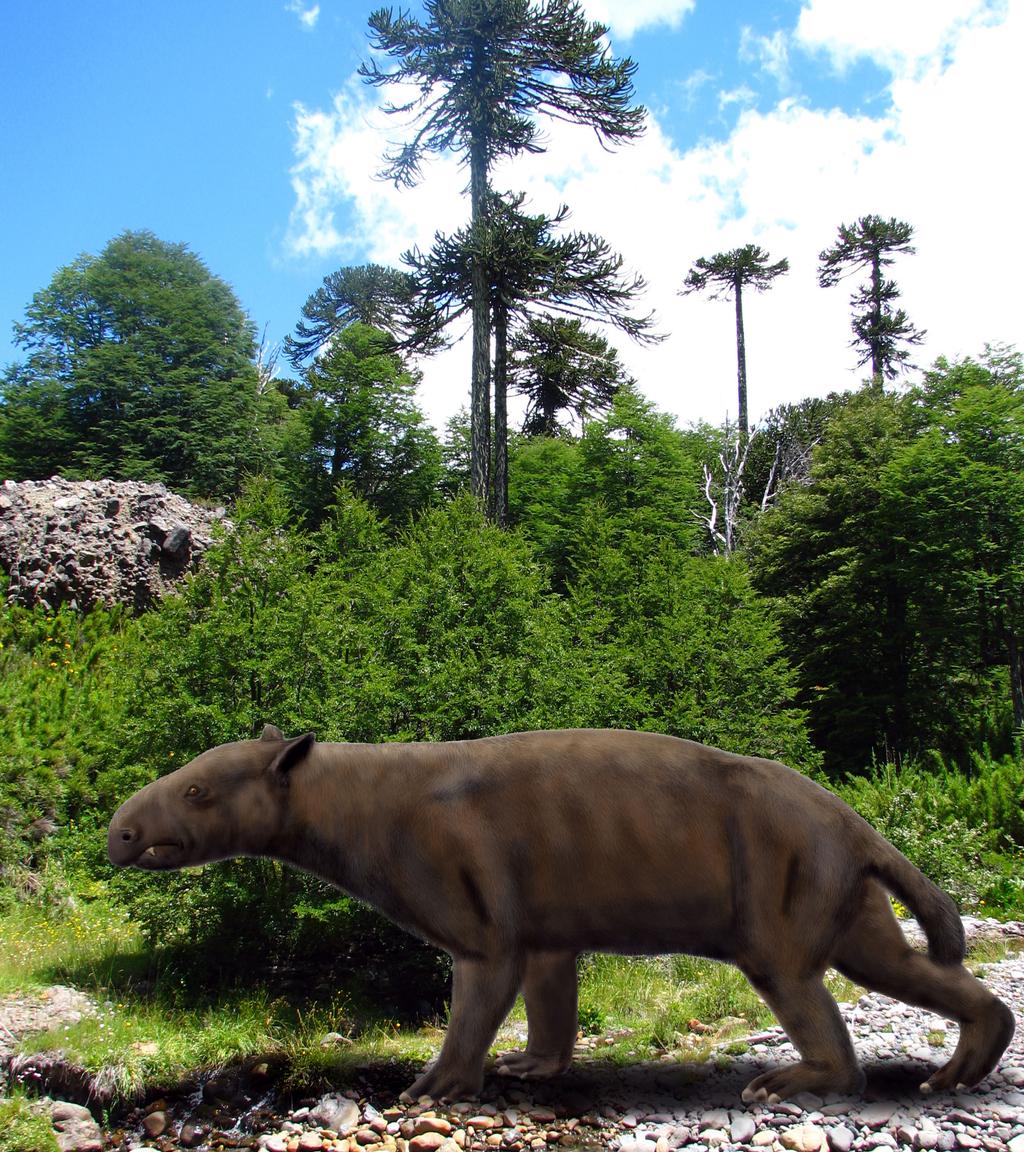 Noticias de Paleontologia: Antarctodon sobrali, un mamífero que vivió ...