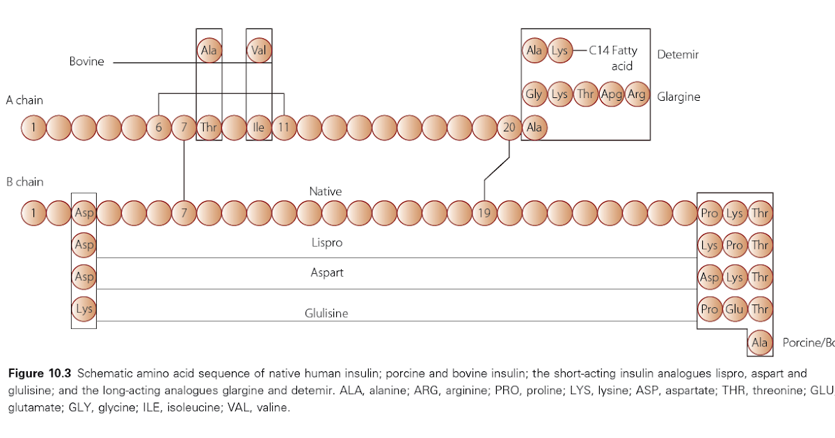 Hari's Random Thoughts by Hariharan Ramamurthy: Schematic amino acid sequence of native human ...