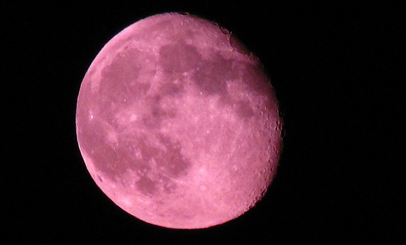 La enigmática luna rosa