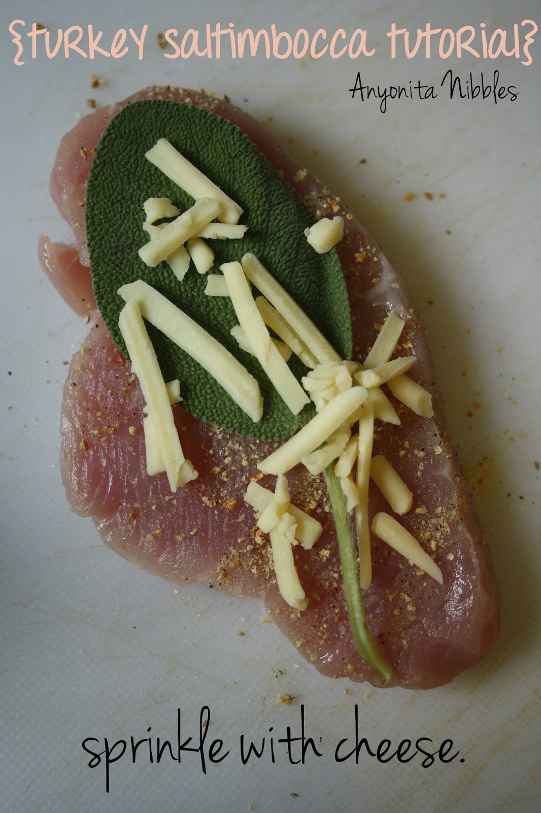 Anyonita Nibbles | Gluten-Free Recipes : Gluten Free Turkey Saltimbocca ...