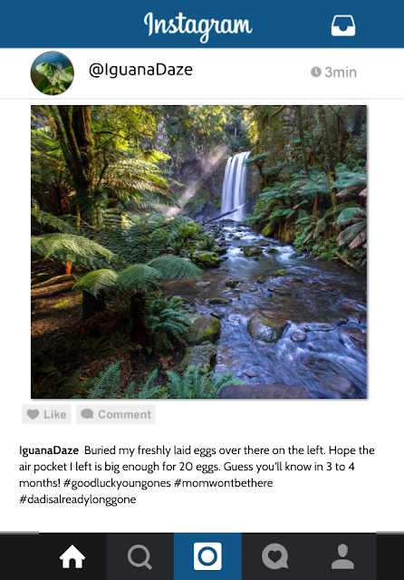 TeachingTechNix: Instagram Template with Google Slides