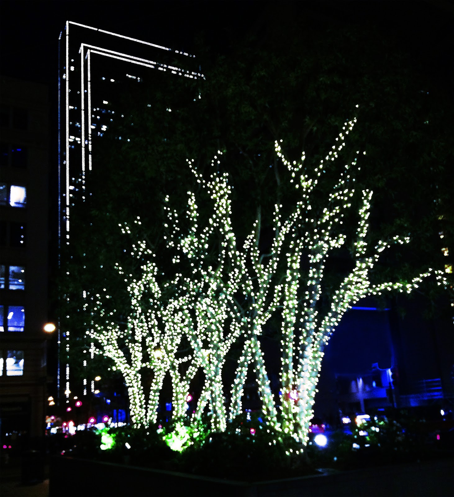 Aqua and Coral Imagery: Sensational Skyscraper and Tree Light Illuminations