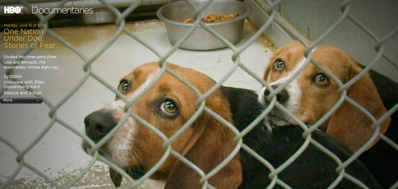 Hamilton Law and Mediation, PLLC: One Nation Under Dog