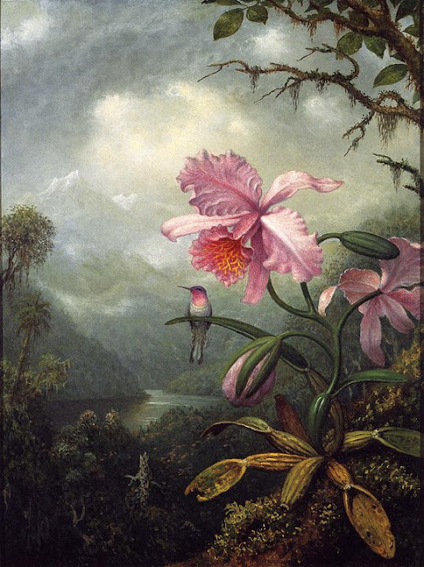 Maher Art Gallery: Martin Johnson Heade 1819-1904