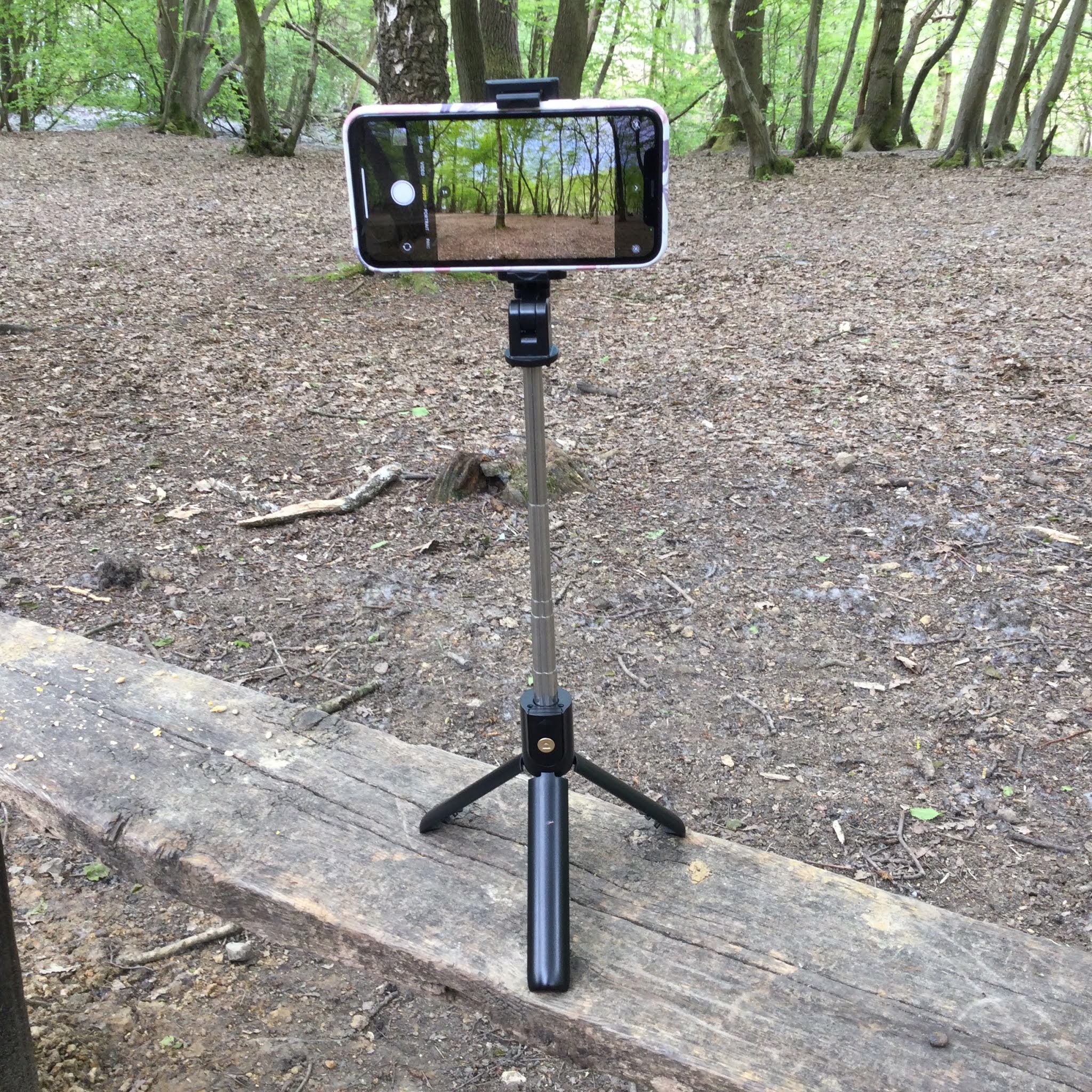 Visit to Ruislip Lido - Citrusspice and Travels