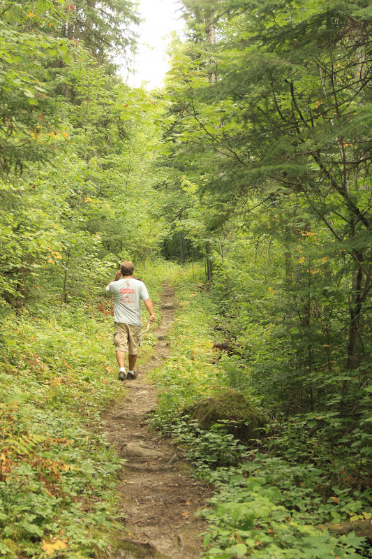 Nomadic Newfies: Angleworm Trail, Superior National Forest