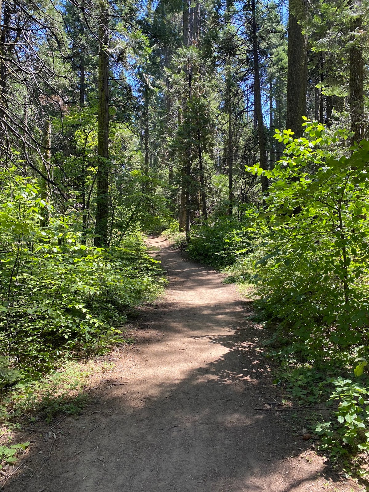 Sierra Vista Scenic Byway Part 1; Sierra National Forest Route 10