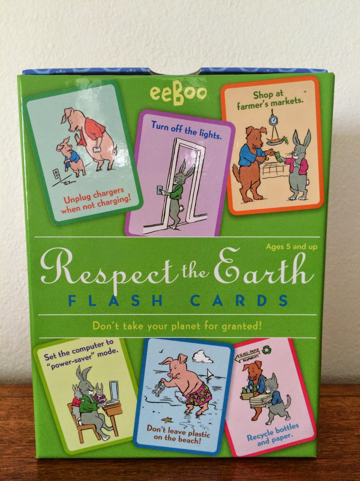 Shorties: Respect the Earth Flash Cards
