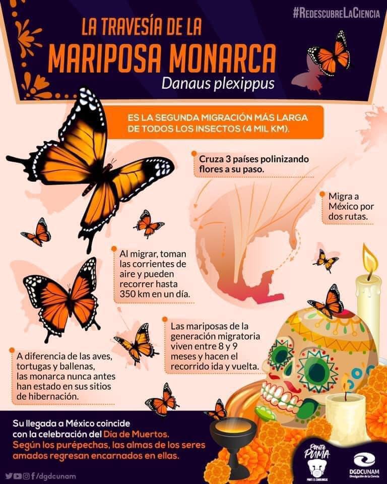 Victor Barrera: Día de Muertos: Simbolismo y tradición mexicana