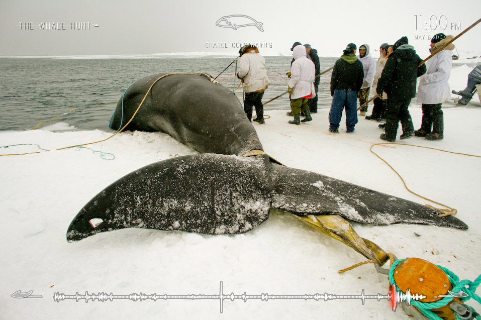 Garfos e Facas: Dieta dos Esquimós