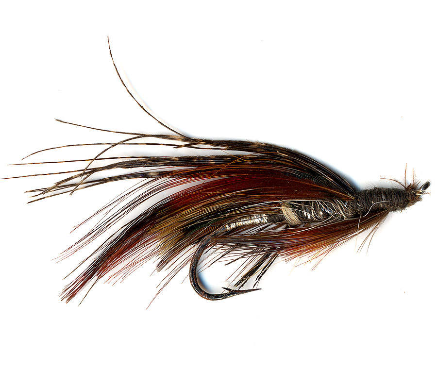 French Flies: June 2007