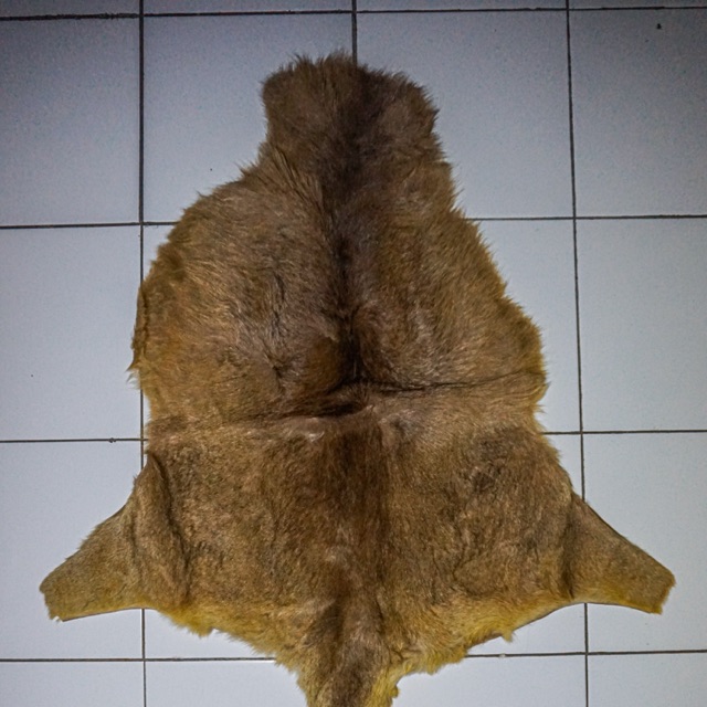 Mengenal Jenis-jenis Bahan Kulit Asli | FashionNelaa