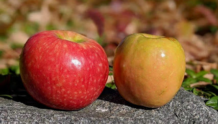 The Two Sisters - Adam's Apples