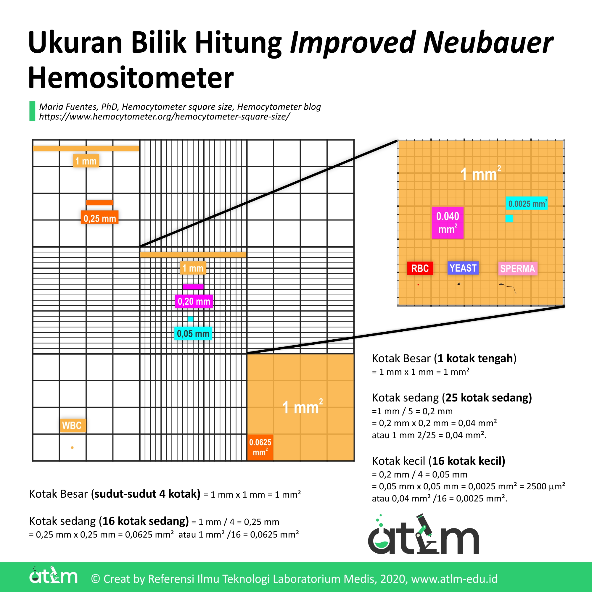 Mengenal Dasar Perhitungan Pada Bilik Hitung Improved Neubauer