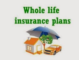 TRADITIONAL LIFE INSURANCE POLICIES | General Knowledge