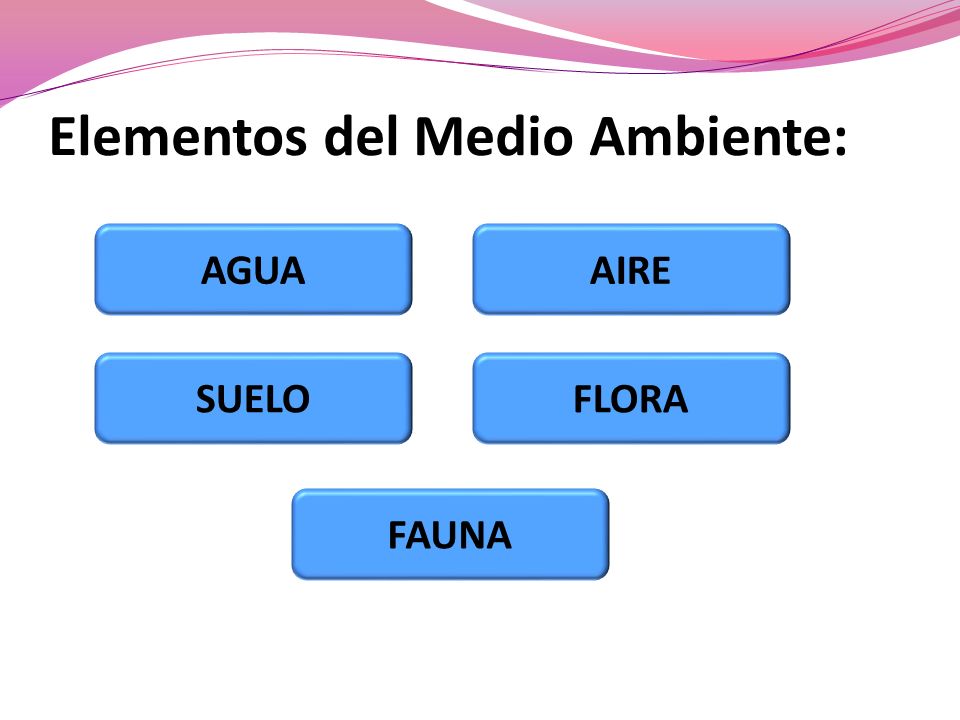 El medio ambiente: Elementos del ambiente