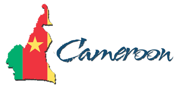 The Tiers of Government in Cameroon