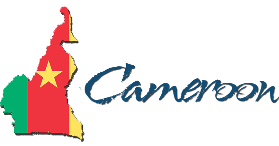 The Tiers of Government in Cameroon